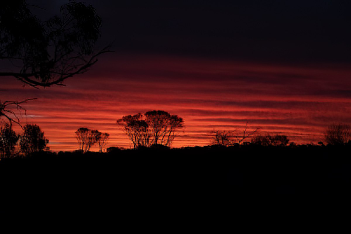 Bowgada – People of Western Australia's Ghost Towns
