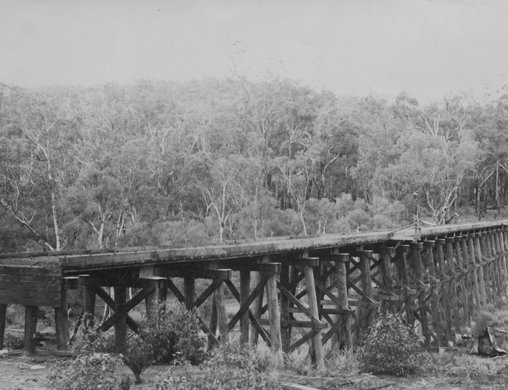 Asquith Timber Log Falling Camp – People of Western Australia's Ghost Towns
